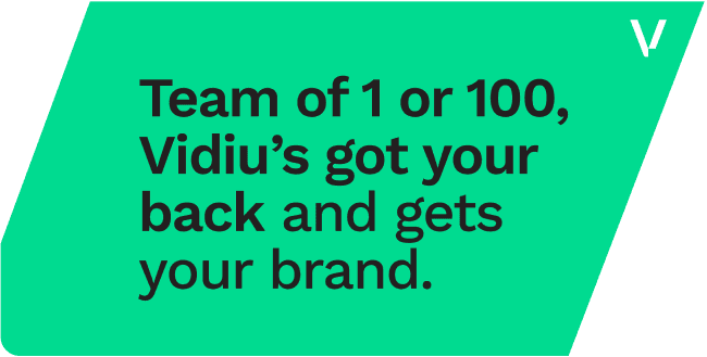 Vidiu - AI Professional Video, Made By You